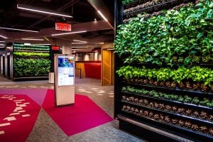 2018 Library Design Showcase | American Libraries Magazine